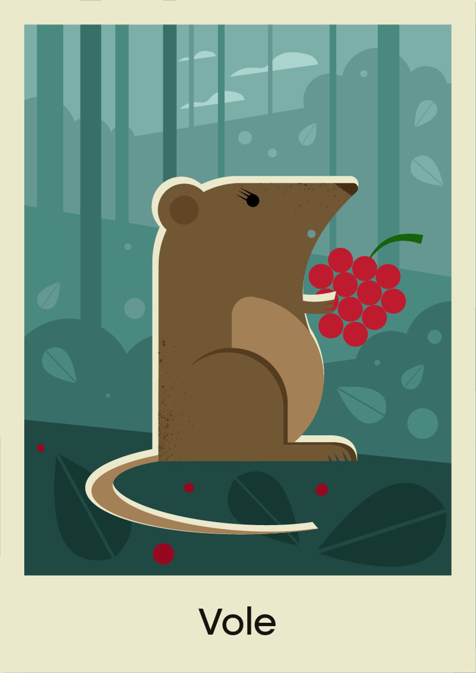 V for Vole animal alphabet print retro midcentury 1960s | Etsy