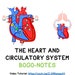 The Heart and Circulatory System: Guided Notes & Study Guide - Etsy