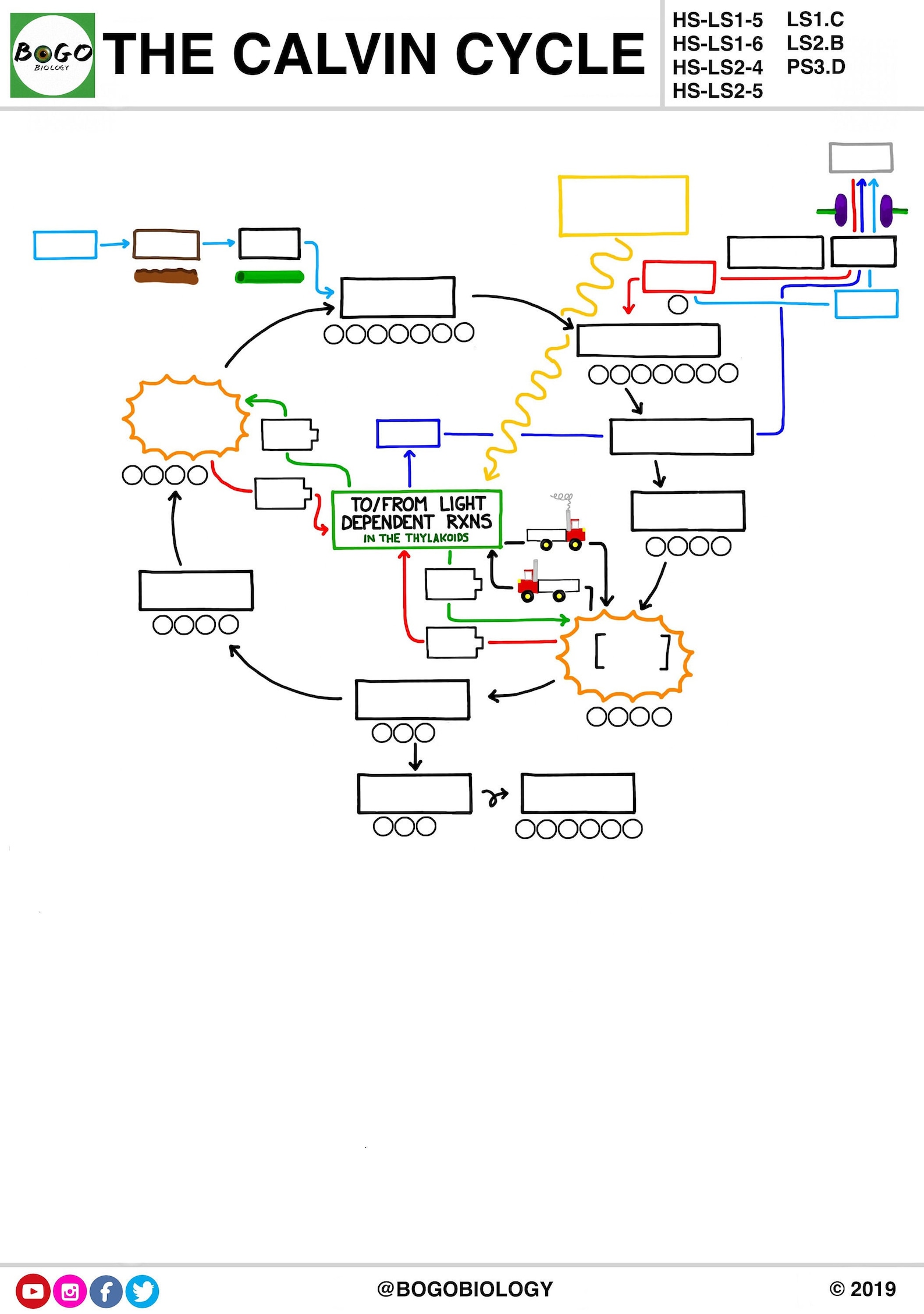 Photosynthesis Guided Notes Printable Handout (16 Pages) - Etsy
