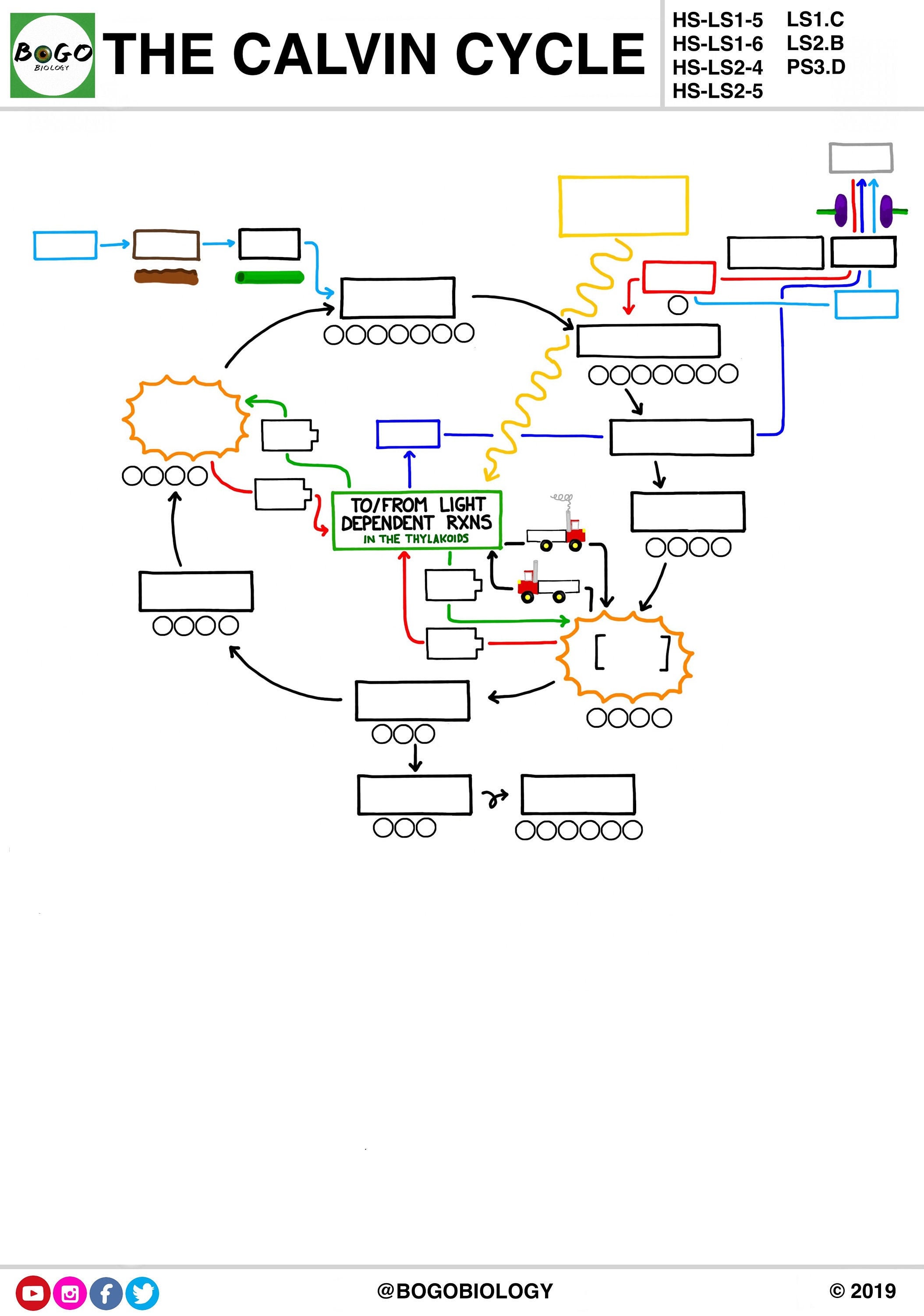Photosynthesis Guided Notes Printable Handout (16 Pages) - Etsy