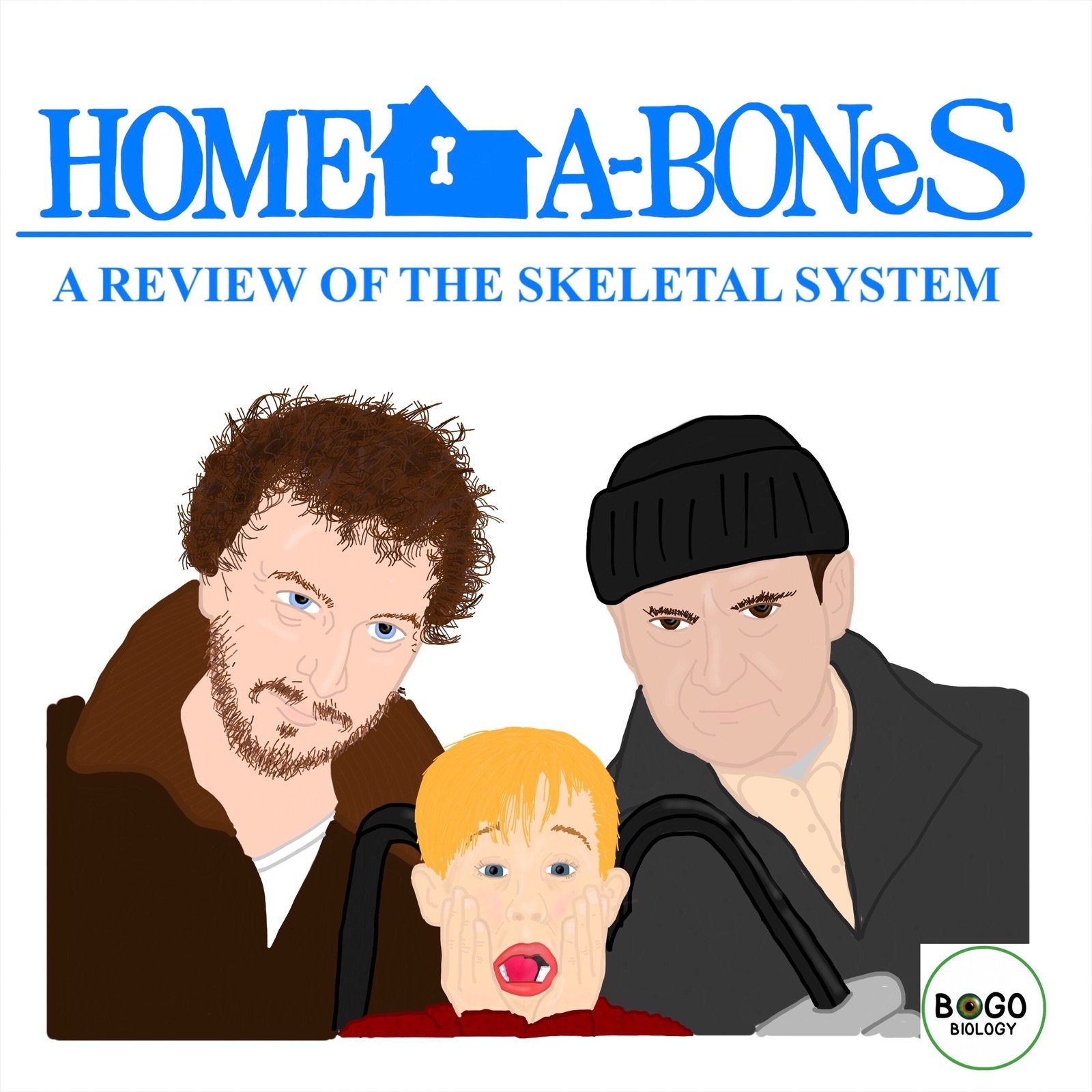 Home A-bones Skeletal System Review - Etsy
