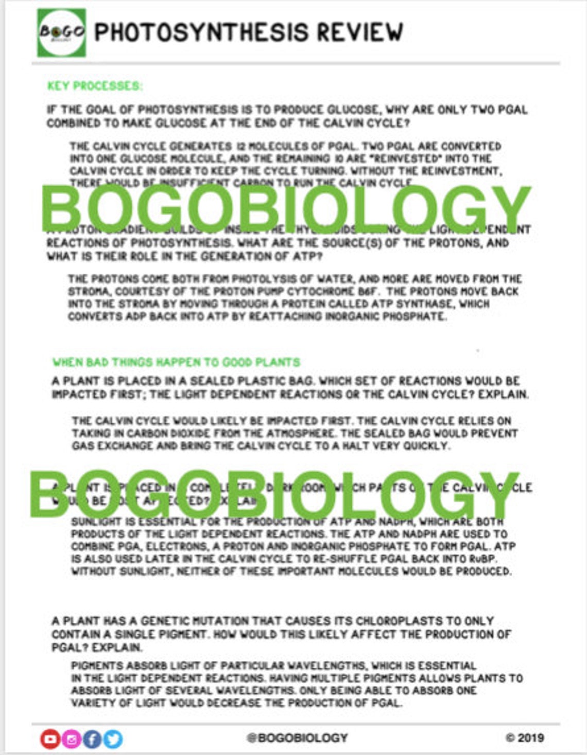 Photosynthesis Guided Notes Printable Handout (16 Pages) - Etsy