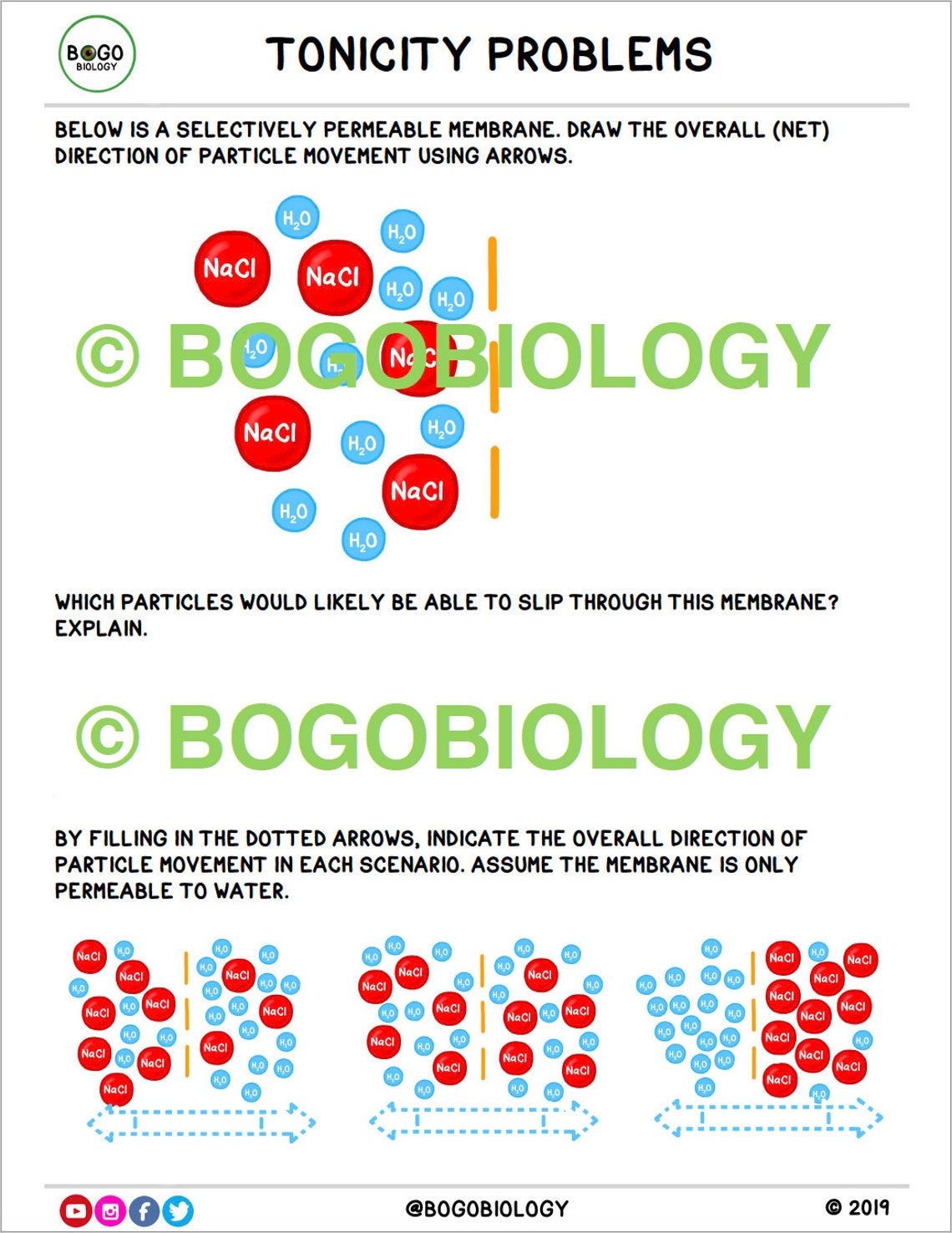Hypertonic, Hypotonic and Isotonic Solutions Guided Notes - Etsy