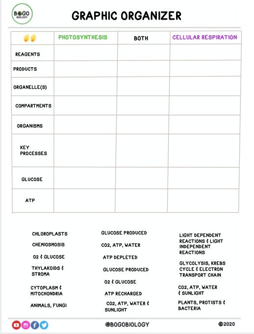 Photosynthesis Vs. Cellular Respiration Guided Notes and Diagrams ...