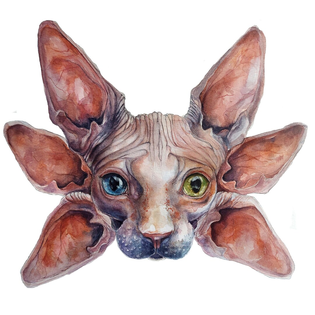 ORIGINAL ART- Sphynx Cat Painting, Pınk Cat Art, Sphynx Surreal Art ...