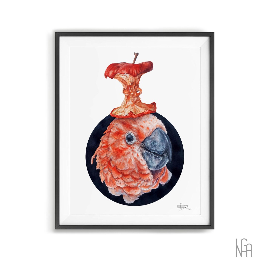 ART PRINT- Parrot Art-parrot Painting-red Bird Art-bird Portrait-funny ...