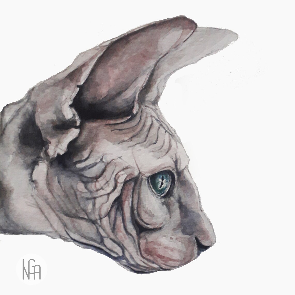 Sphynx Cat Art Print, Sphynx Cat Modern Watercolor Portrait, Hairless ...