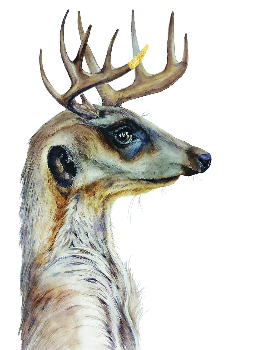 ORIGINAL Art-suricata Painting-wild Animal Art-home Decor-animal ...