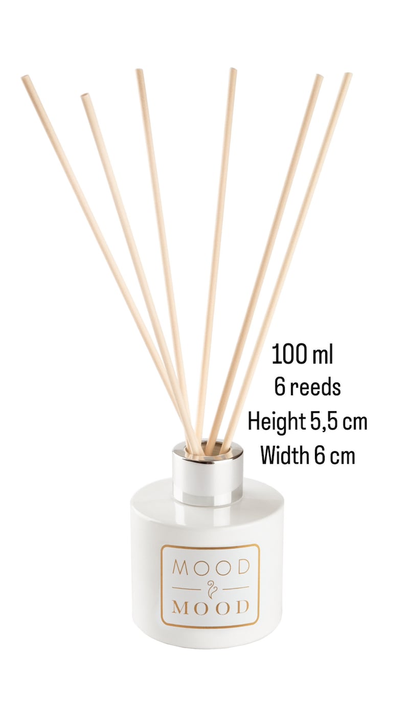 Reed Diffuser.grapefruit, Mint Diffuser, Home Fragrance, Decor, Citrus ...