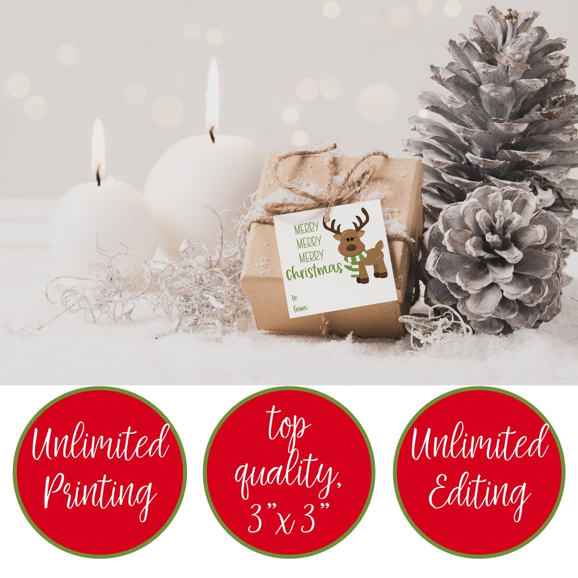 PRINTABLE Adorable Reindeer Christmas Gift Tags. 8 Cute - Etsy