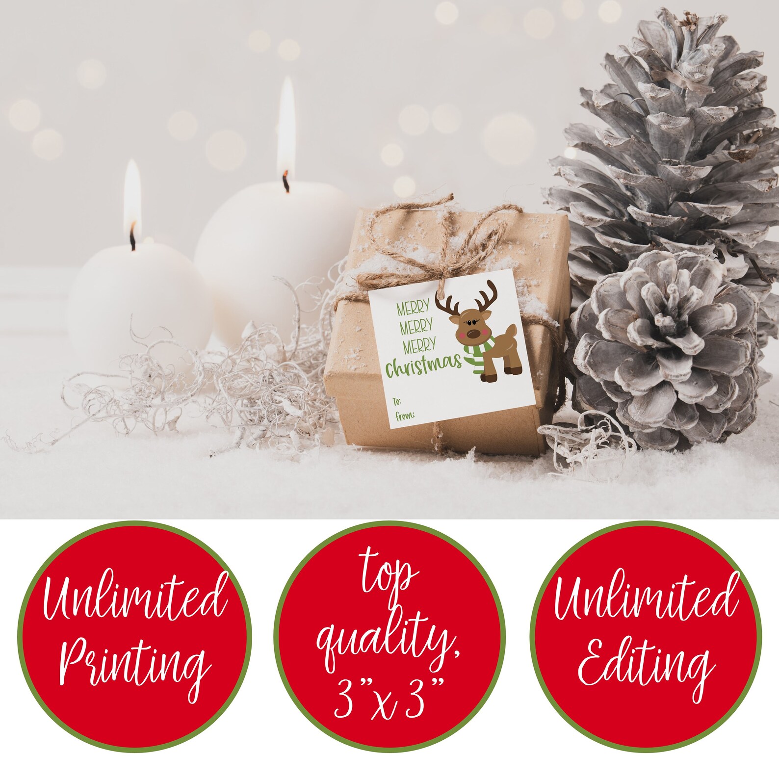 PRINTABLE Adorable Reindeer Christmas Gift Tags. 8 Cute - Etsy