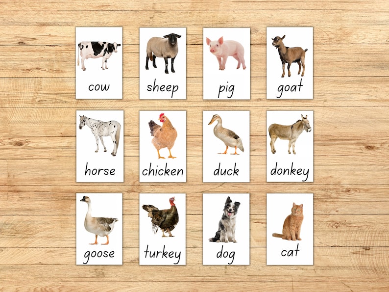 Farm Animal Flash Card Visuals for Preschool Daycare Toddler Classroom ...