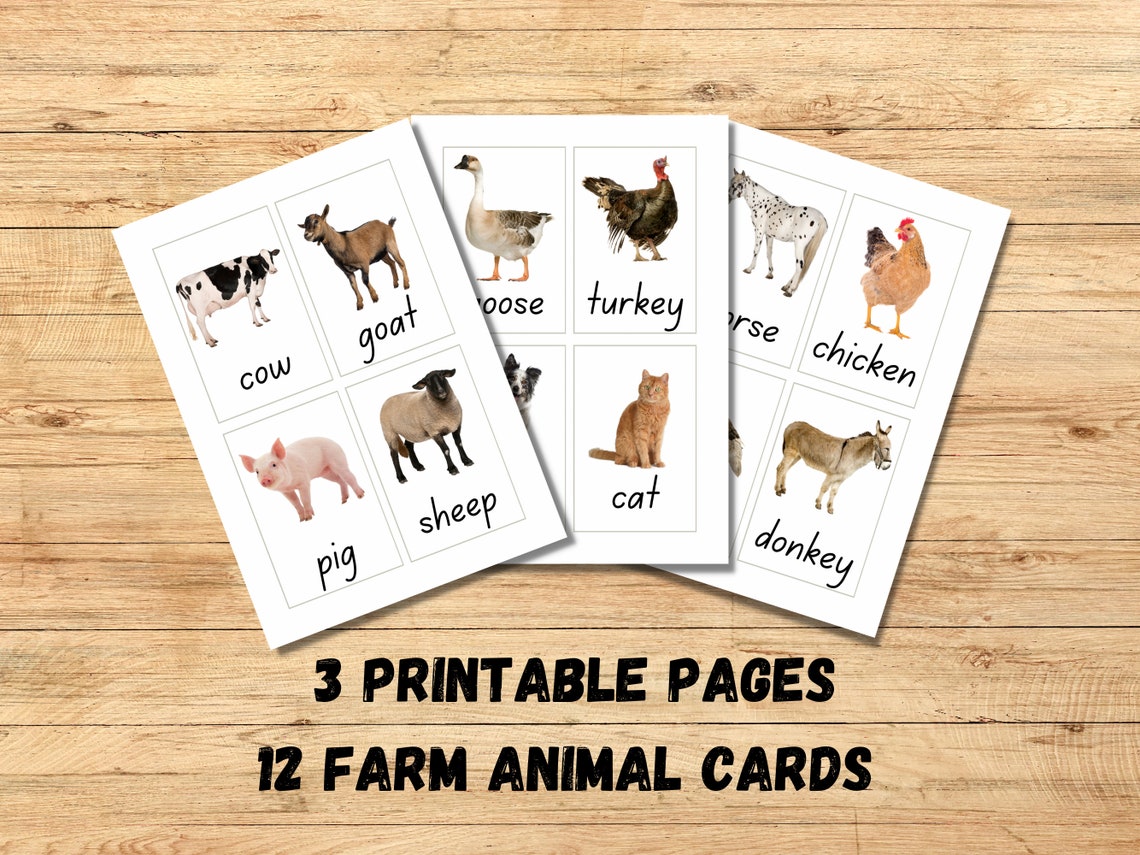 Farm Animal Flash Card Visuals for Preschool Daycare Toddler Classroom ...