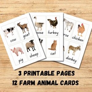 Farm Animal Flash Card Visuals for Preschool Daycare Toddler Classroom ...