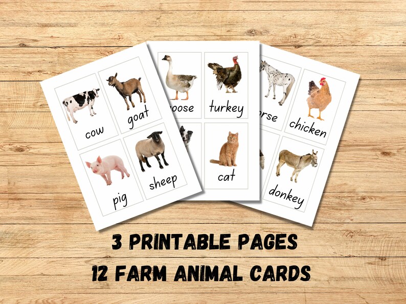 Farm Animal Flash Card Visuals for Preschool Daycare Toddler Classroom ...