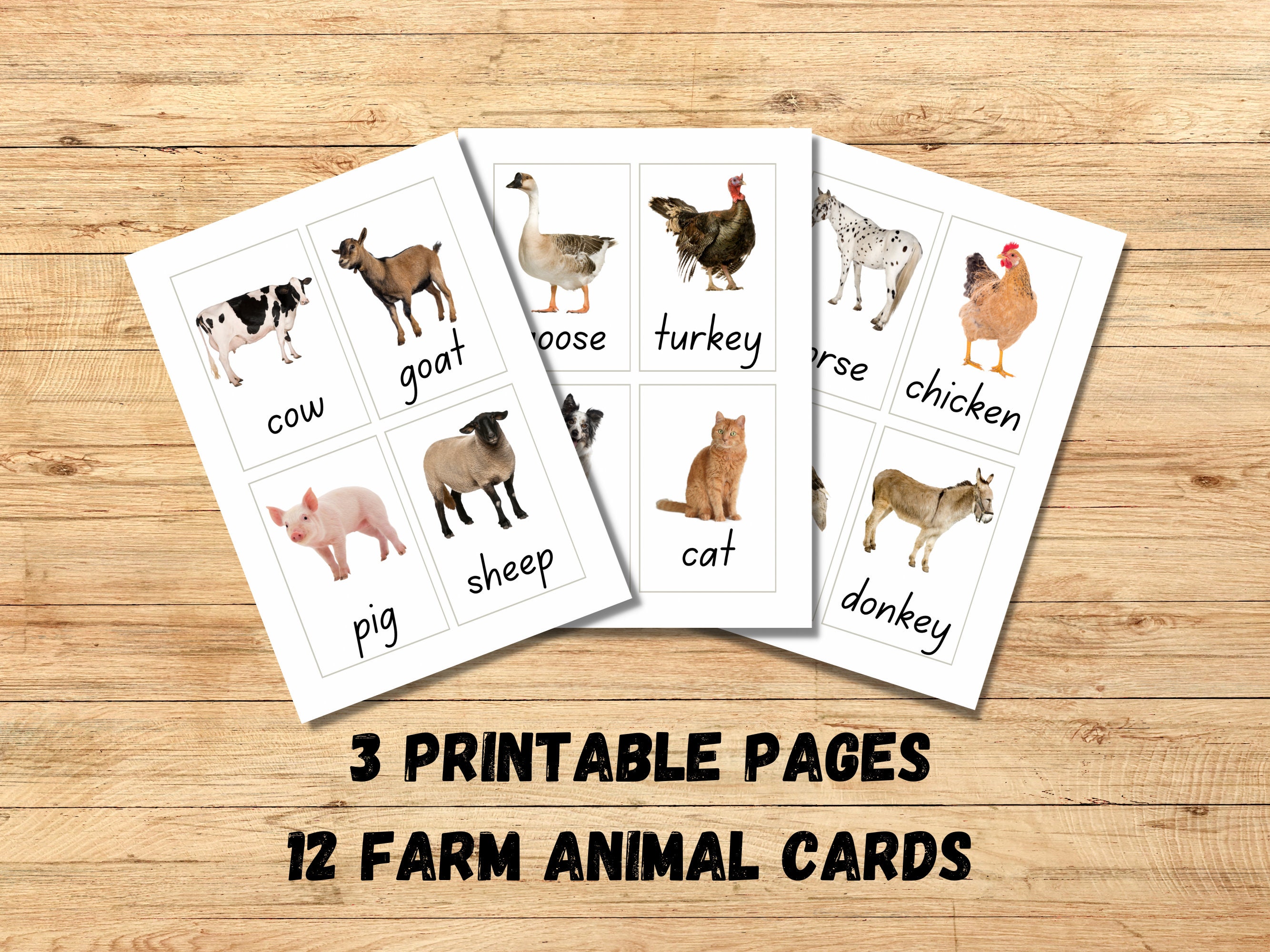 Farm Animal Flash Card Visuals for Preschool Daycare Toddler Classroom ...