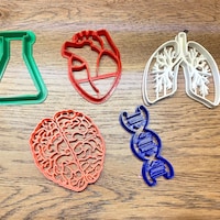 Brain Anatomy Cookie Cutter- Fast Shipping - Sharp Edges - Exceptional ...