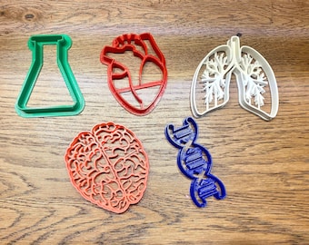 Human Tissue Anatomy Cookie Cutter set of 4 Fast Shipping - Etsy