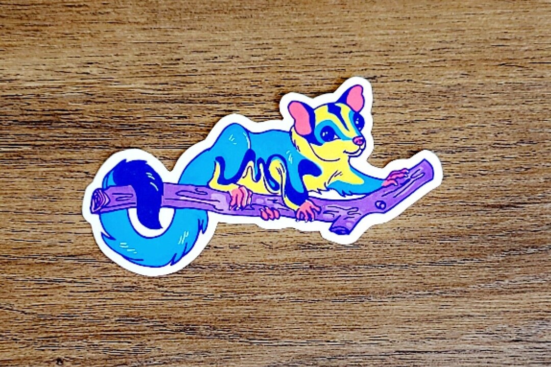 Sugar Glider Sticker - Etsy