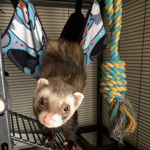 Ferret Hammock - Etsy