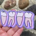 Anatomical Tooth Sticker Tooth Sticker Dental Sticker - Etsy
