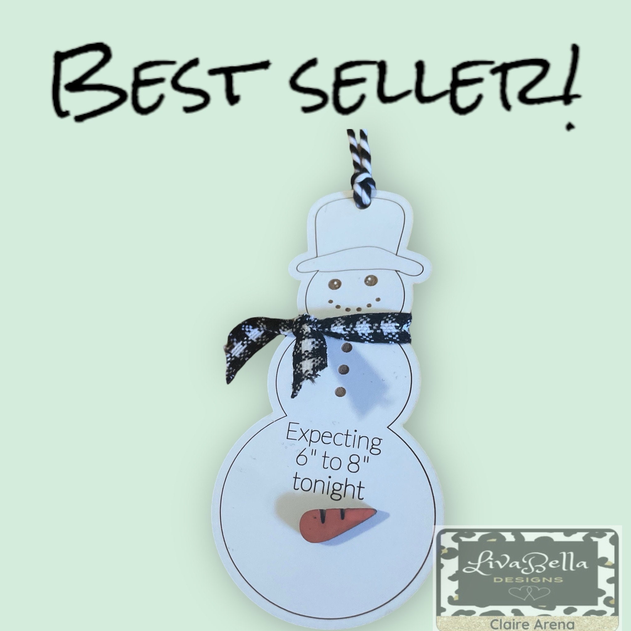 Naughty Snowman Ornament FAST SHIP Expecting 68 Tonight Excited Carrot ...