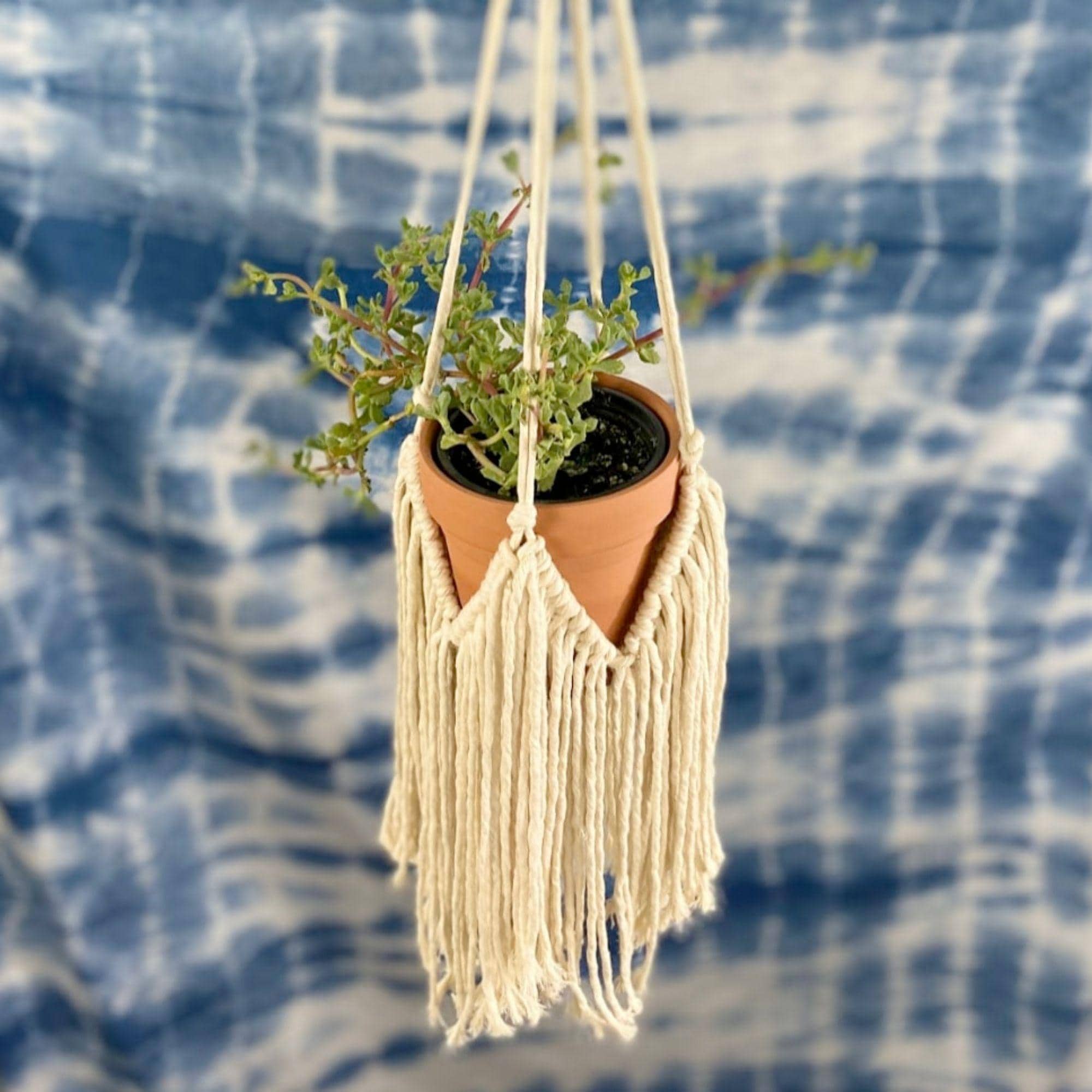 Boho Fringe Macrame Plant Hanger Pattern – Easy DIY Hanging Planter ...
