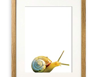 Snail art print | Etsy