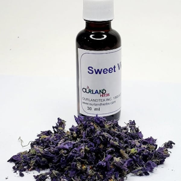 Viola Odorata - Etsy