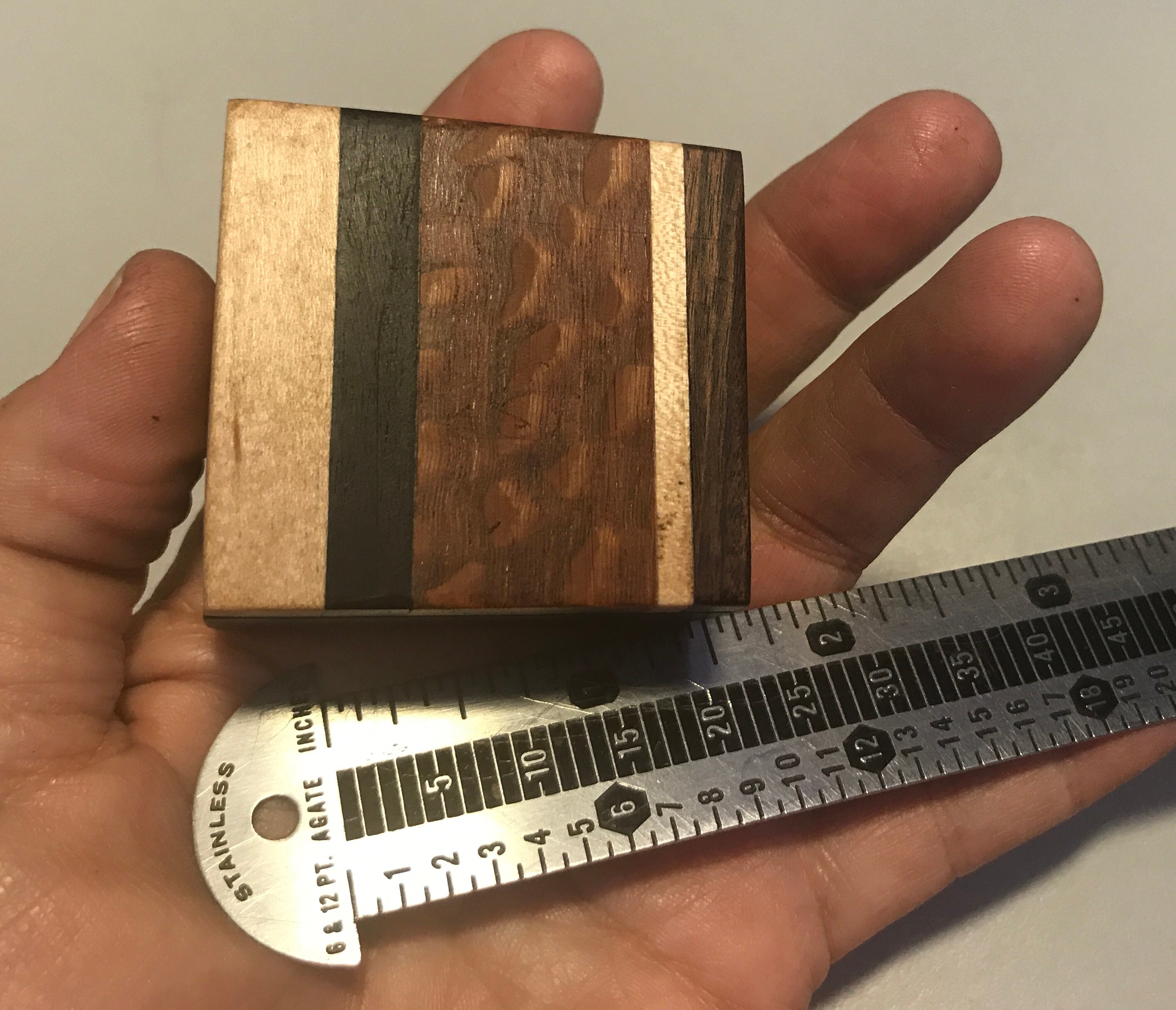 Leopard Tracks - Etsy