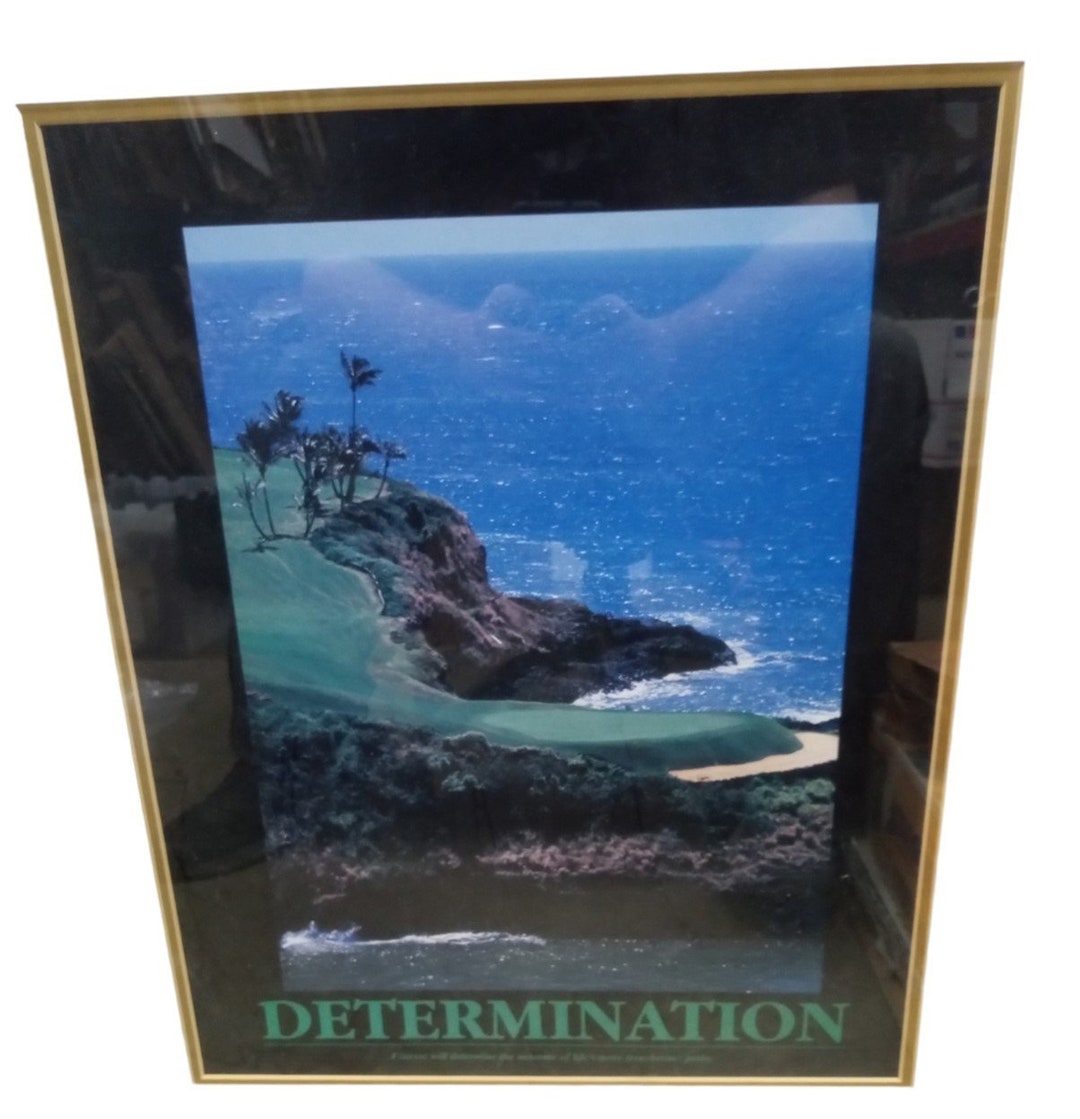 Determination Framed Motivational Poster Vintage Collectible Wall Art ...
