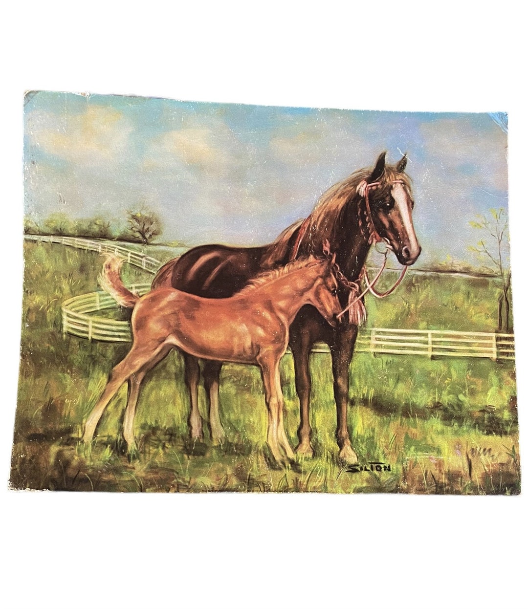 Horse With Bridle Next to Foal in Field Silton Grocery Print 16x20 - Etsy