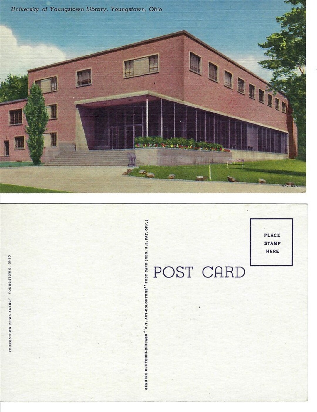 Antique Youngstown State YSU College Library Penguins Postcard - Etsy