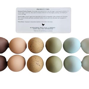 Decorative Ceramic Hen Easter Eggs - 12 Pack - Etsy