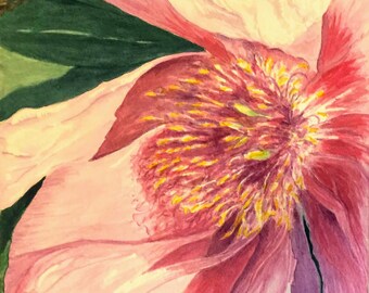 Vintage Unframed Hand Painted, Red Frensham Rose Flower Watercolour ...