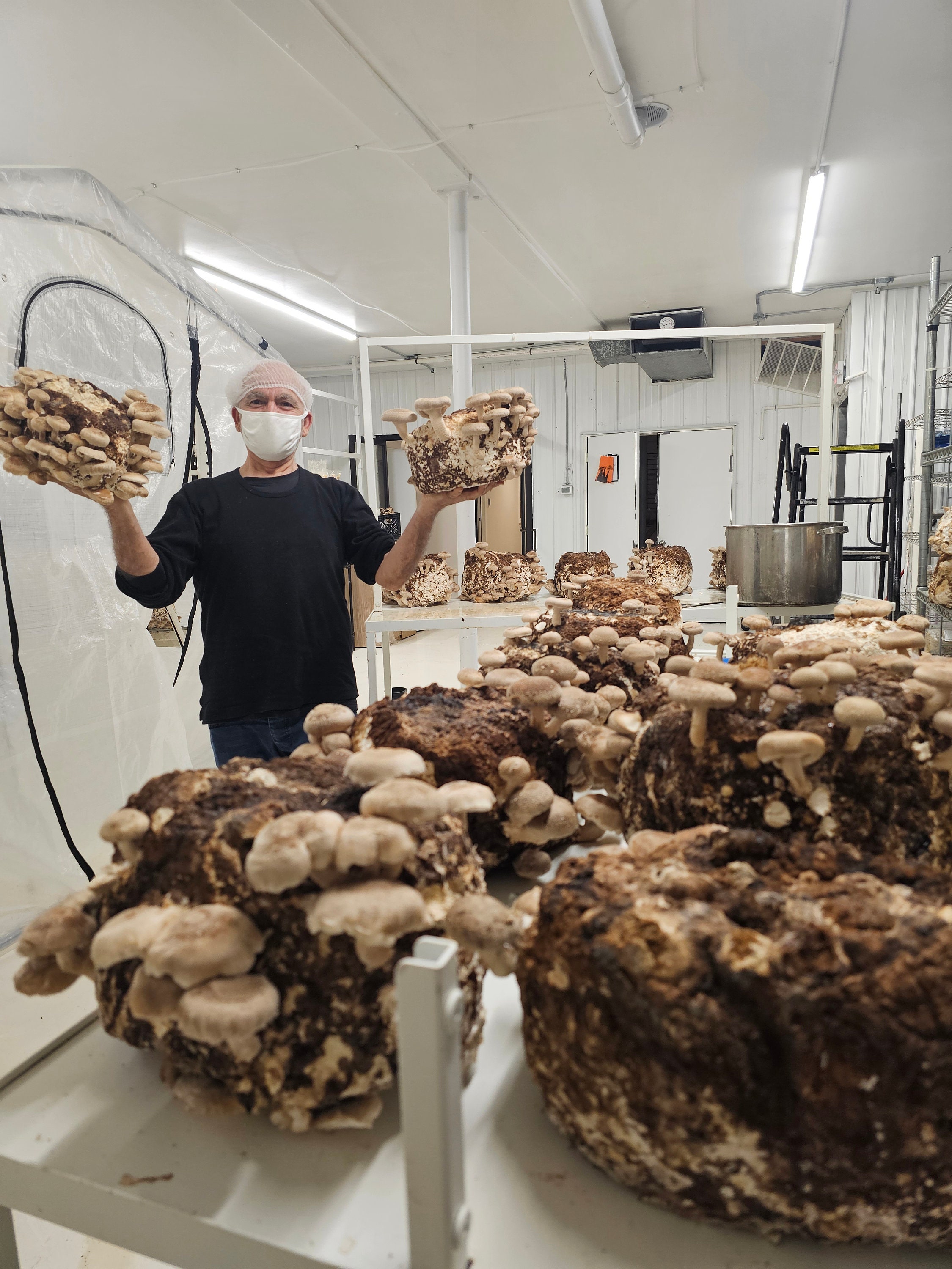 10lb Shiitake Mushroom Substrate Bag - Etsy