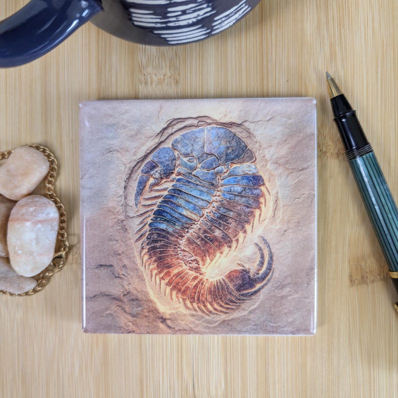 Trilobite Fossil Coaster – Colorful Sandstone Fossilized Art | Unique ...