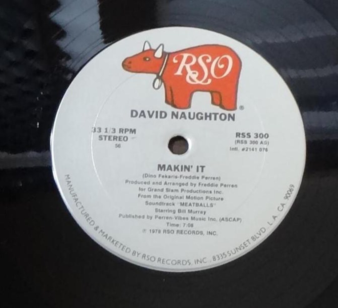 David Naughton - Makin' It - Etsy