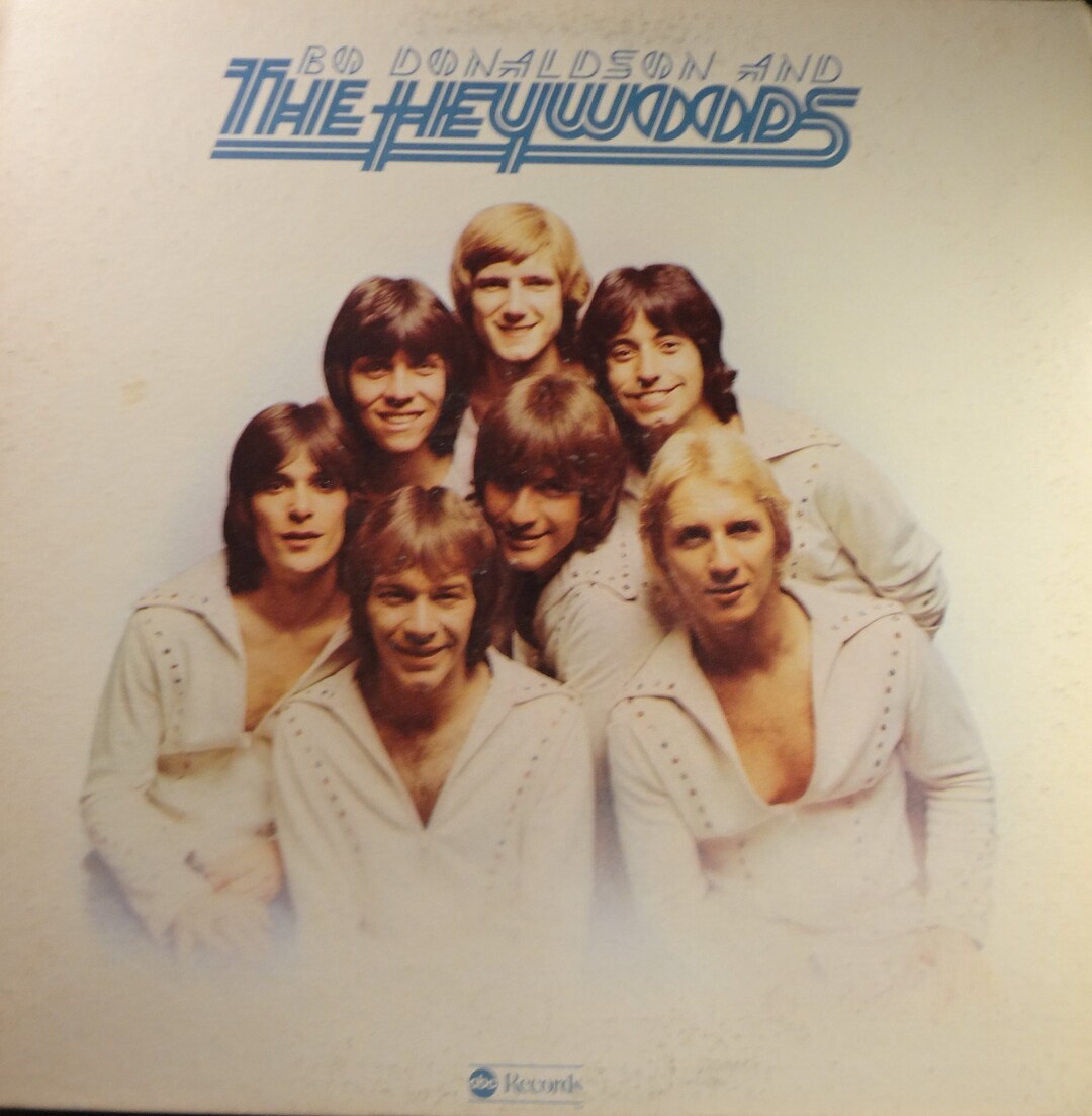Bo Donaldson and the Heywoods - Bo Donaldson and the Heywoods - Etsy