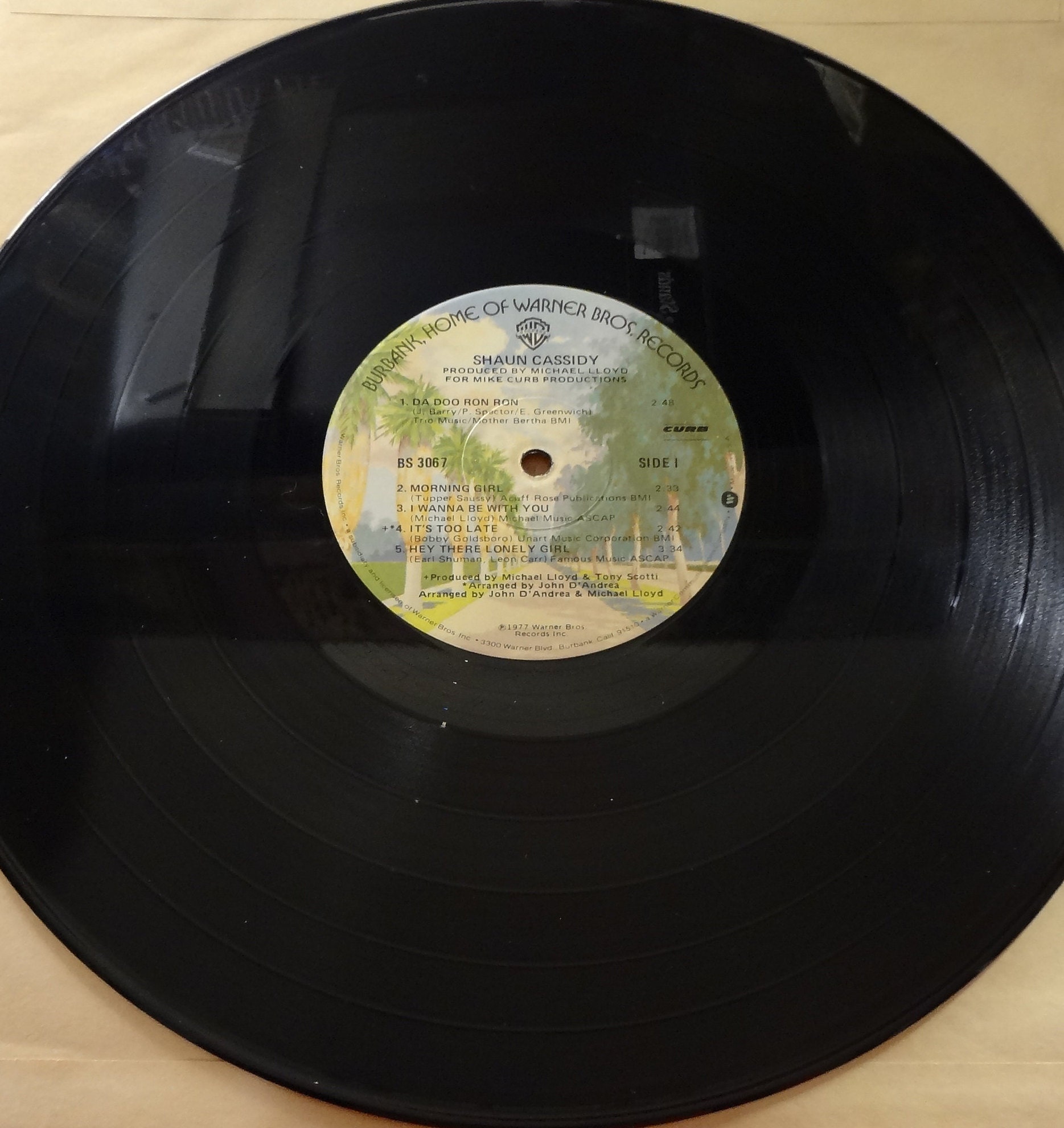 Shaun Cassidy Shaun Cassidy Etsy 6053
