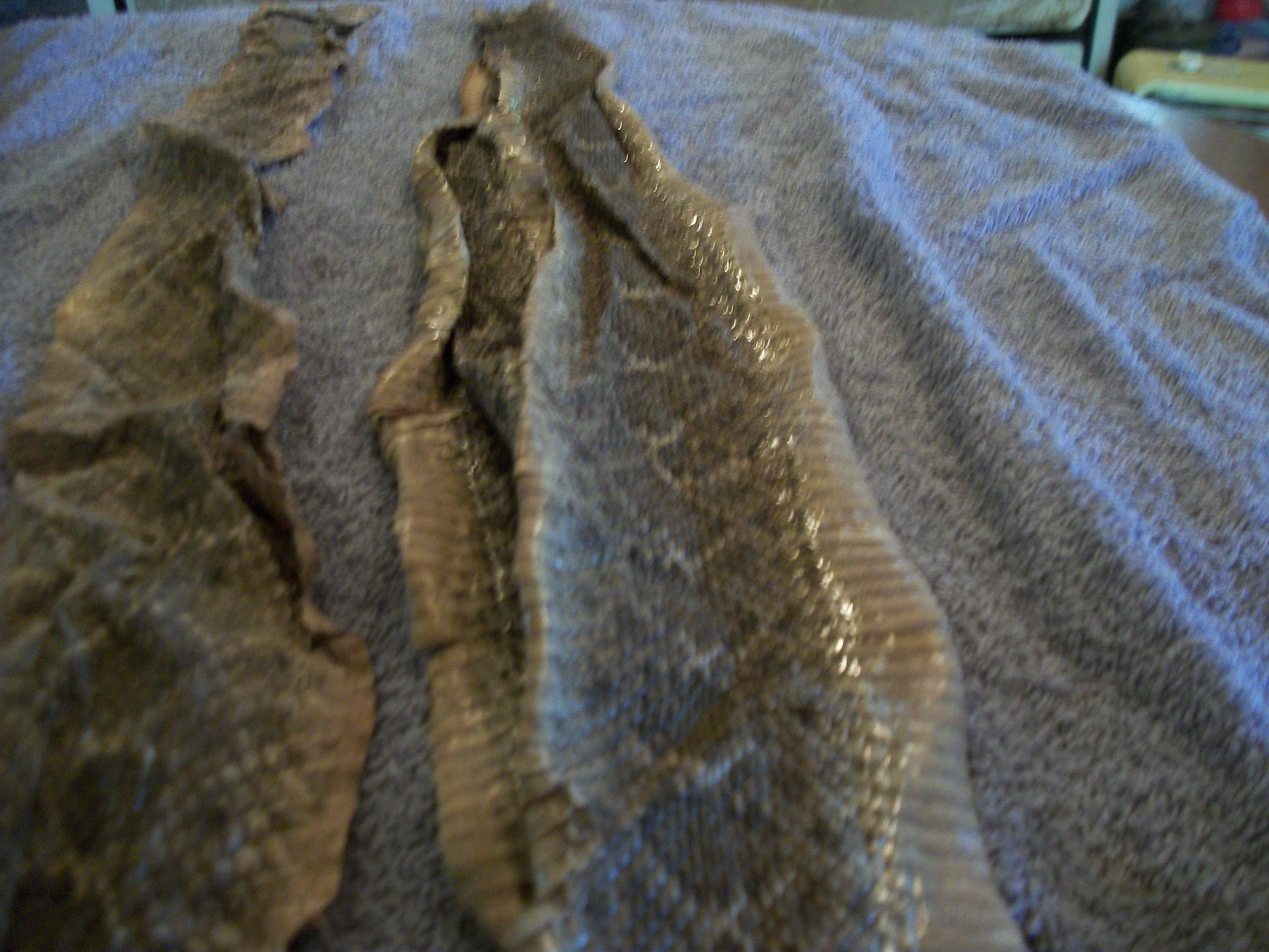 1 Real Western Diamondback Rattle Snake Tanned Taxidermy Hide - Etsy