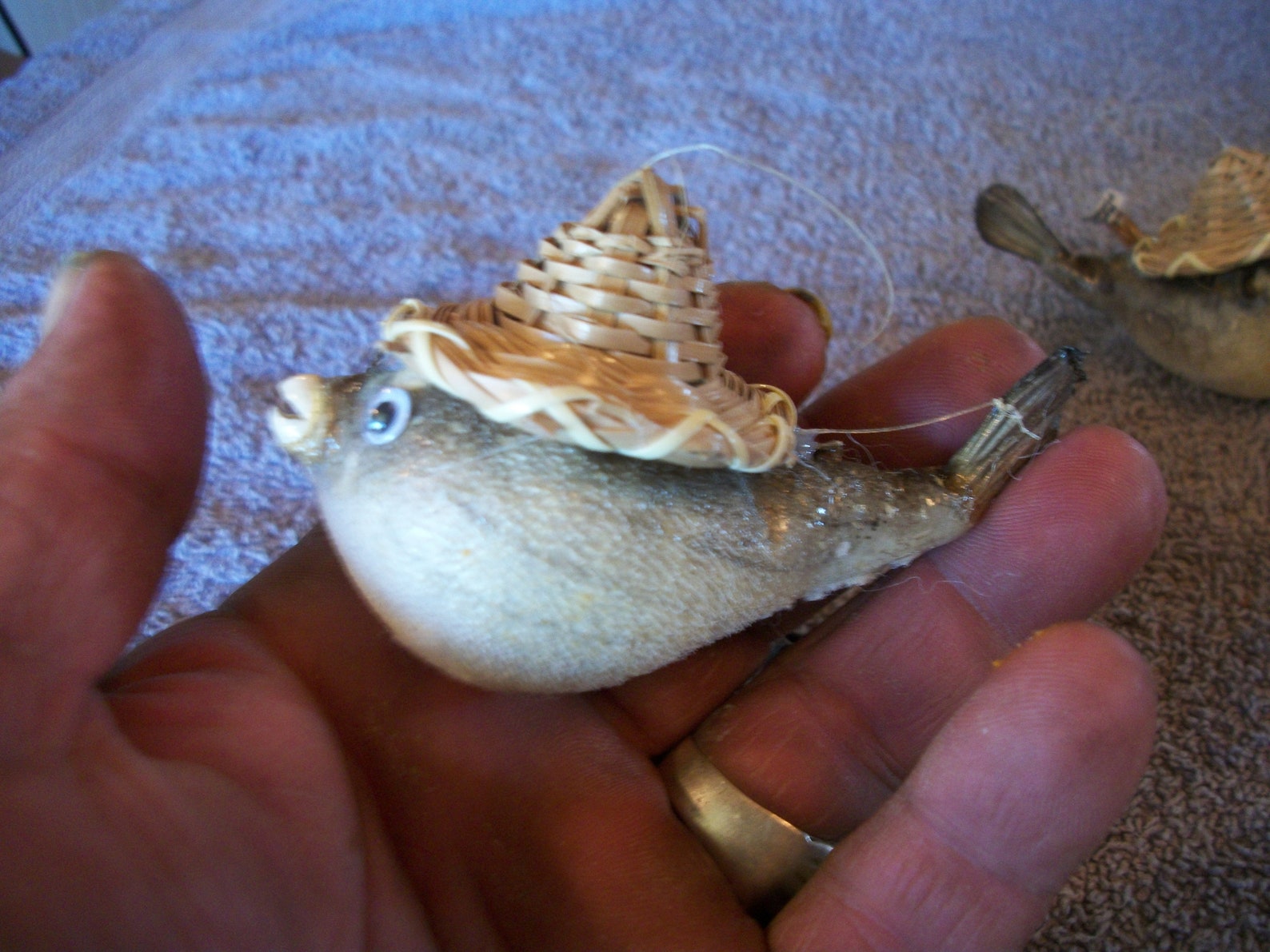 2 Real Small Parrot Puffer Fish Animal Skull Bone Head Art Craft - Etsy