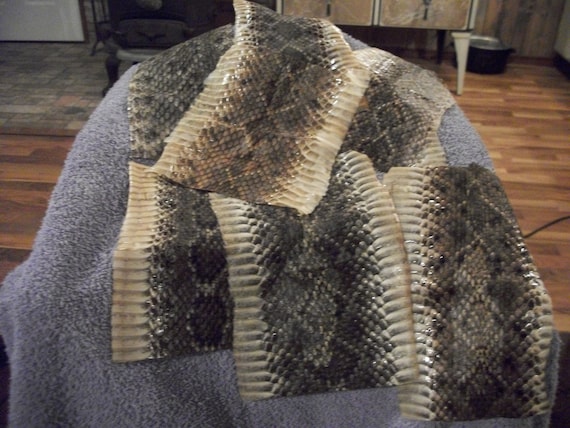 5 Real Western Diamondback Rattlesnake Tanned Skin Parts - Etsy