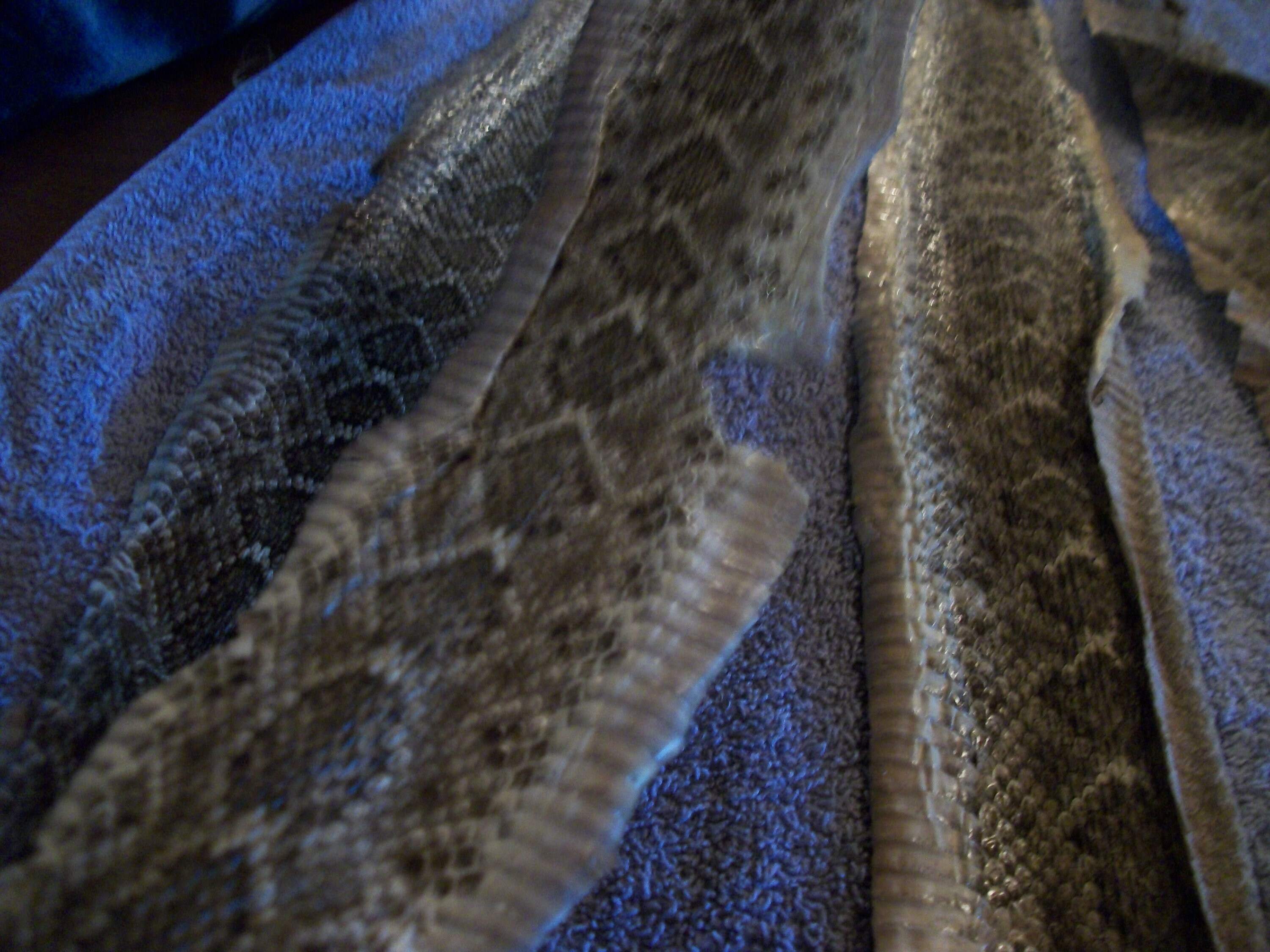 1 Real Western Diamondback Rattle Snake Tanned Taxidermy Hide - Etsy