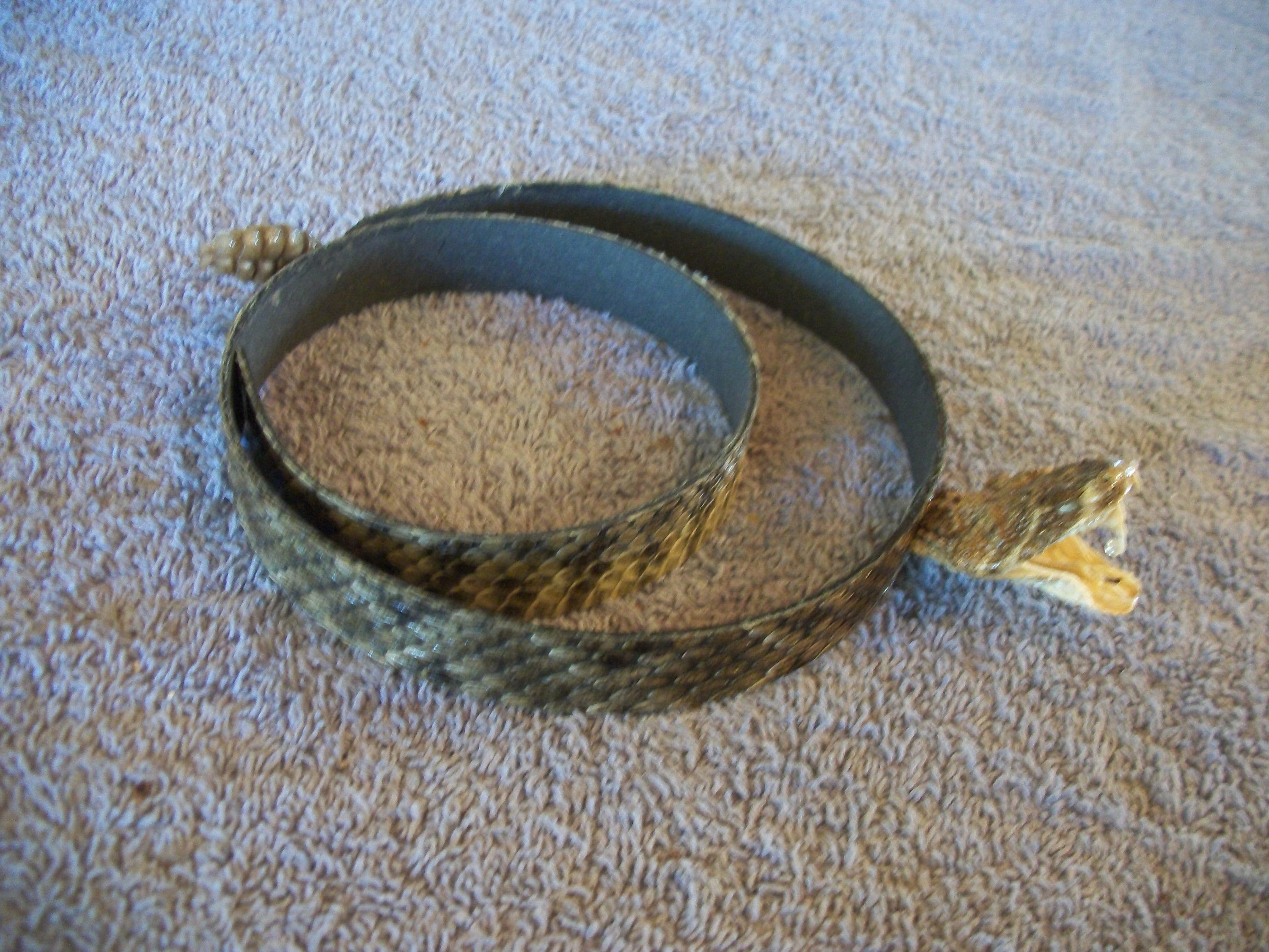 1 Western Diamondback Rattlesnake Head Hat Band Cowboy Cowgirl Western ...