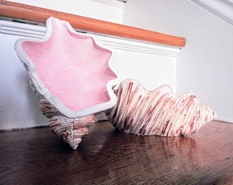 Conch Shell Planter - Etsy
