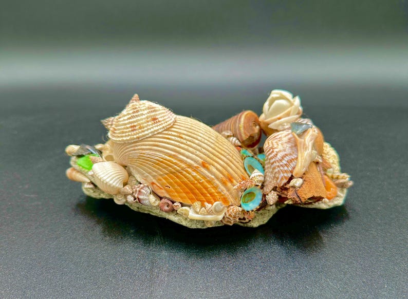 Beach Art Ocean Bottom Shell Art Piece - Arrange in Rock. 7" Long - One ...
