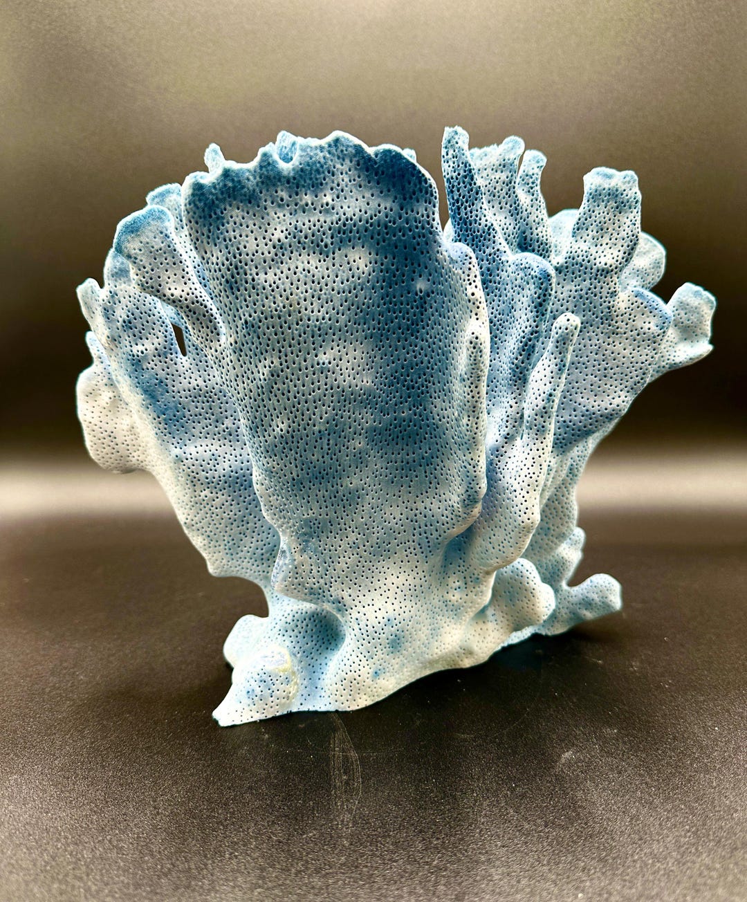 Blue Coral 4.8 LBS 9" Tall, 11" Wide, 6" Depth - One of a Kind, Farm ...