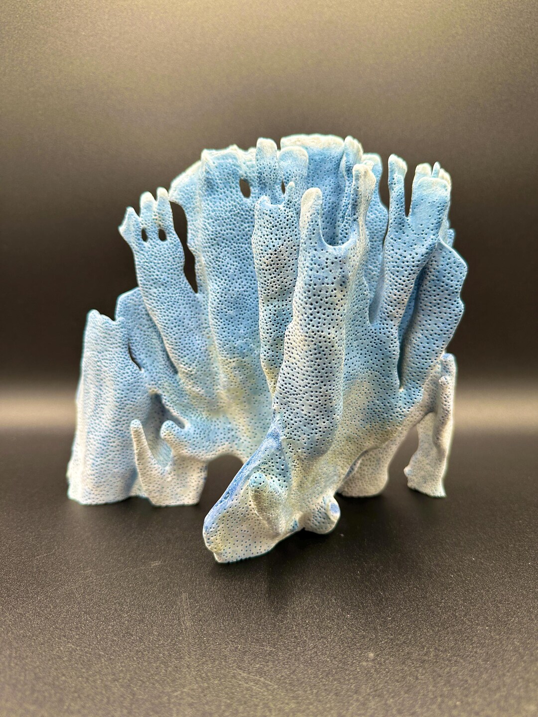 Blue Coral, 2.6 LBS. Farmed, 9" Tall, 11" Wide, 5" Depth - Etsy