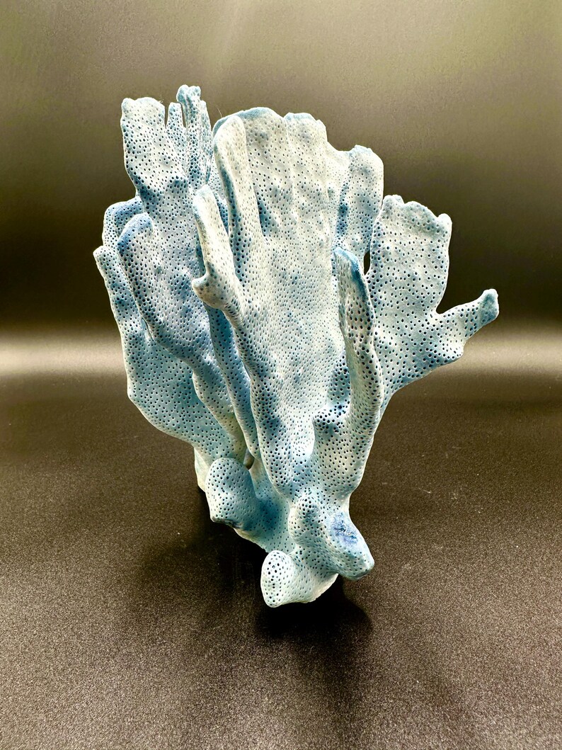 Blue Coral 4.8 LBS 9" Tall, 11" Wide, 6" Depth - One of a Kind, Farm ...